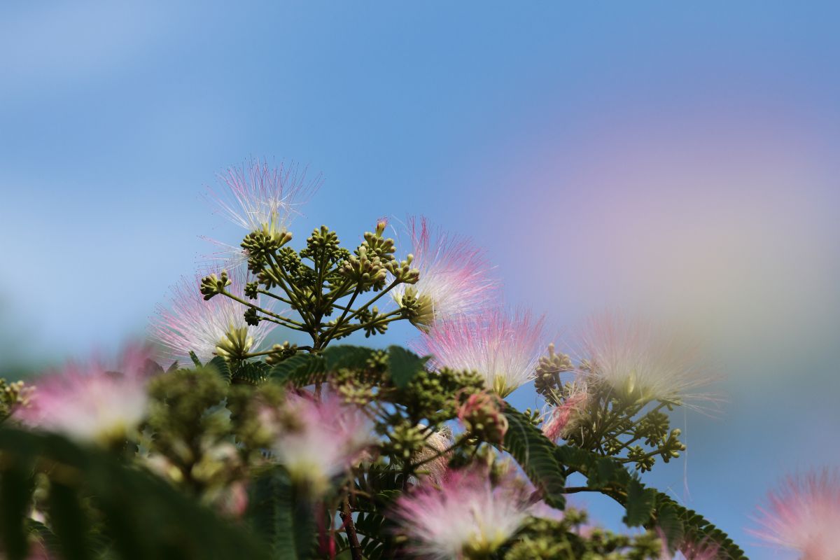 忘れかけた優しさ | GANREF