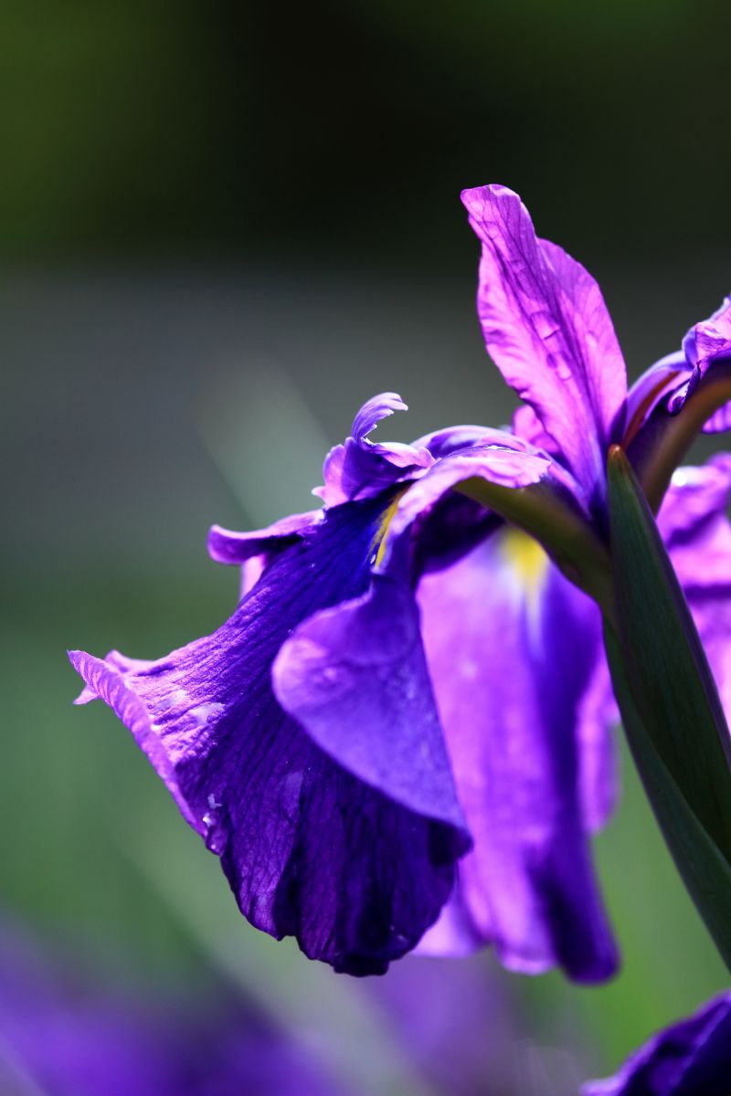 優しい日を浴びて | GANREF