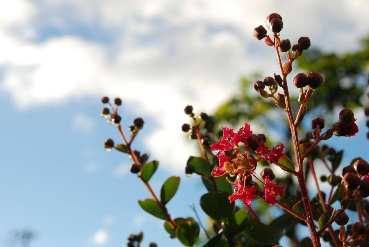 なんとなく平和な感じ | GANREF