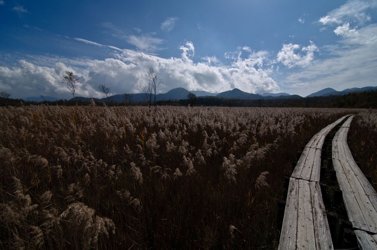 戦場ヶ原をゆく | GANREF