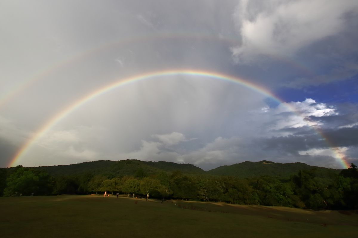 Double Rainbow | GANREF