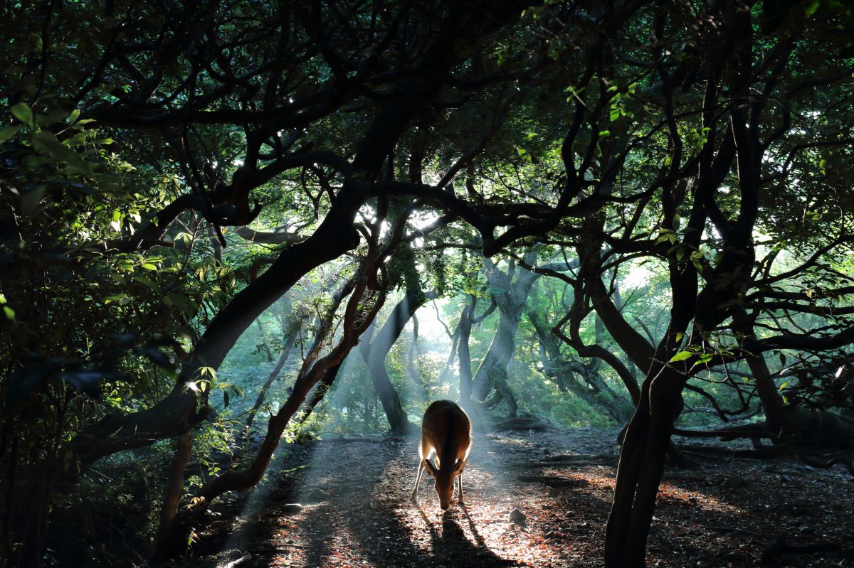 My World。。。 | GANREF