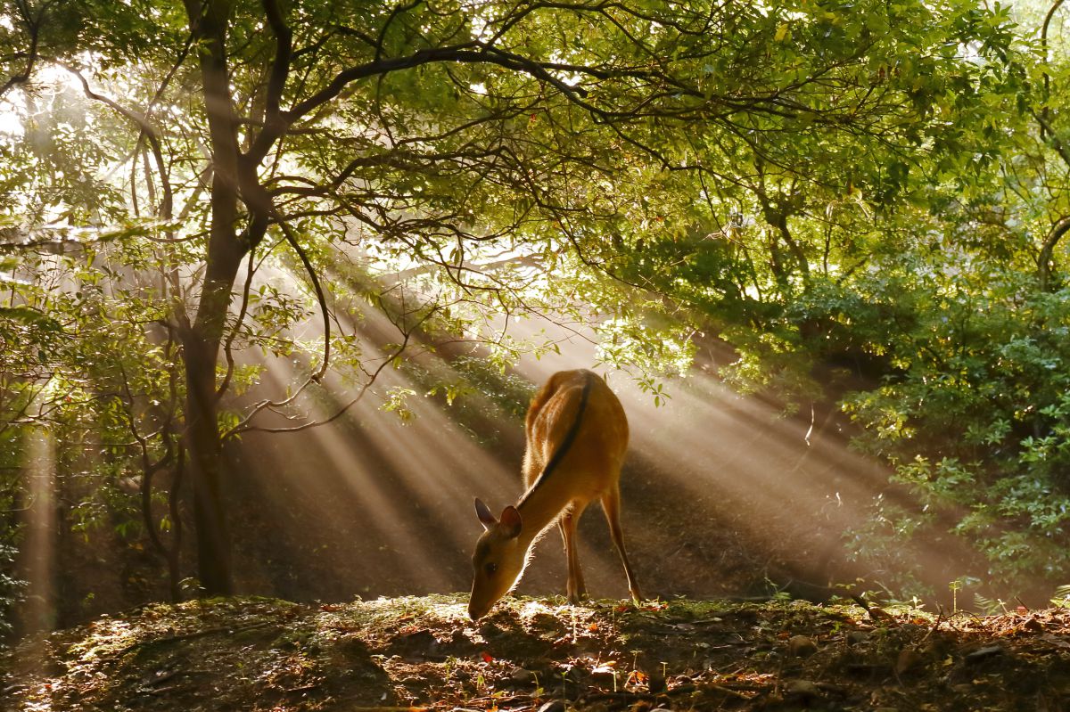 美魔女。。。 | GANREF