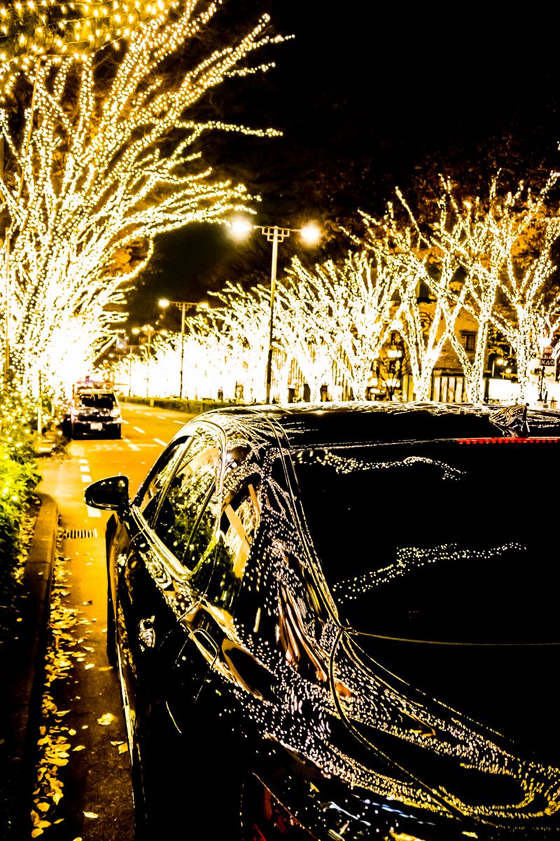 into the Night Dream | GANREF