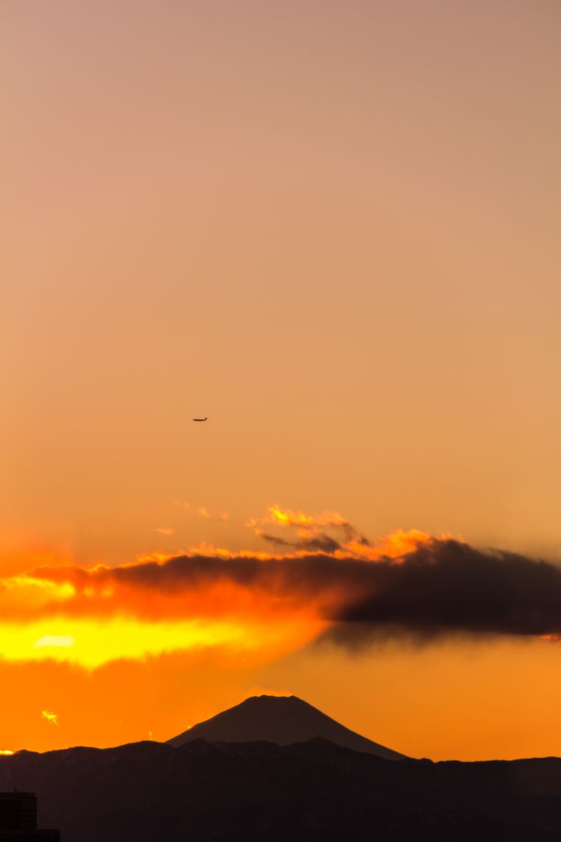 EVENING FLIGHT | GANREF