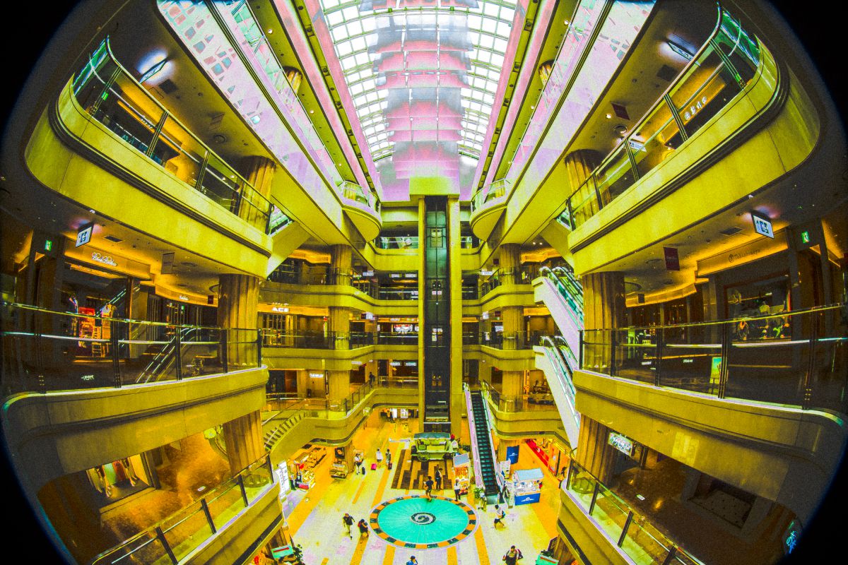 BIG BIRD CRAB | GANREF