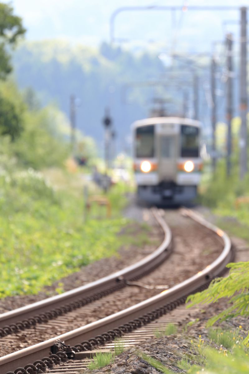 GOTEMBA LINE | GANREF