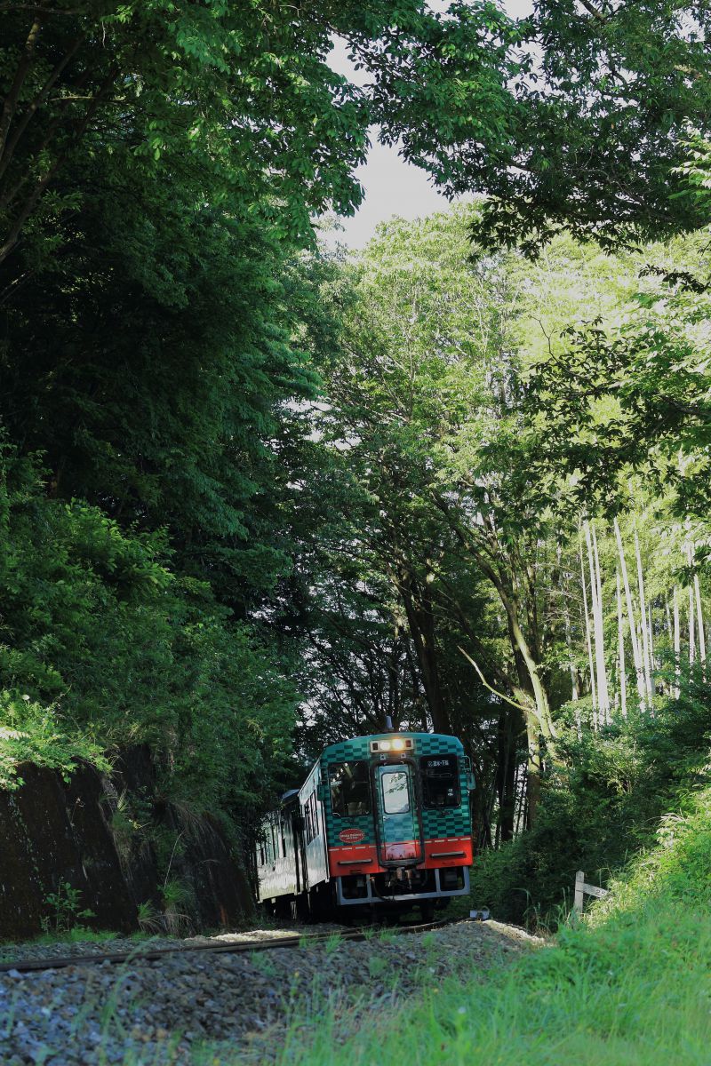 Cotton Railway | GANREF