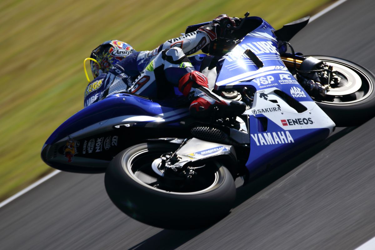 wild card Ver.2 | GANREF