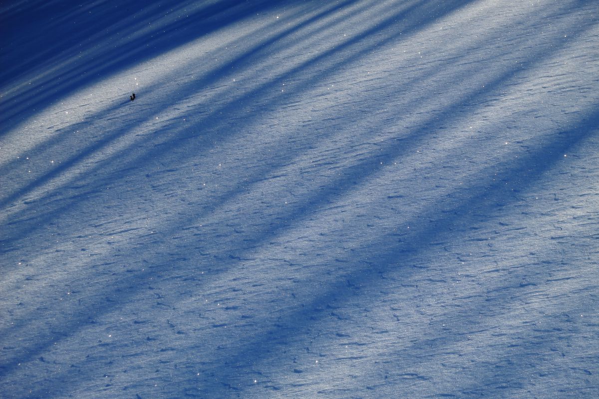 snow ripple | GANREF