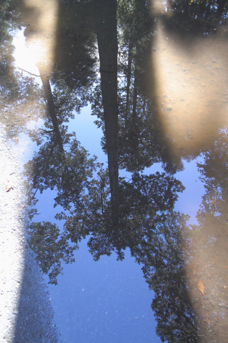 full-length mirror | GANREF