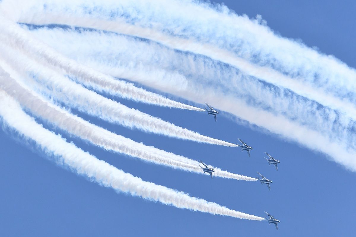 phoenix roll | GANREF