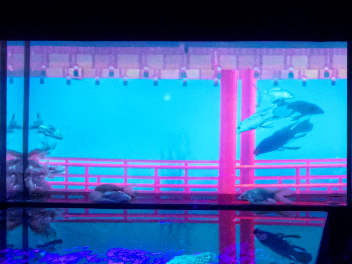 アートアクアリウム2 | GANREF