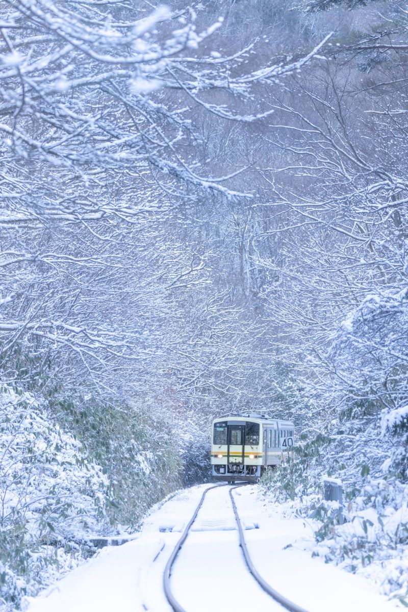 Snow Fantasy | GANREF