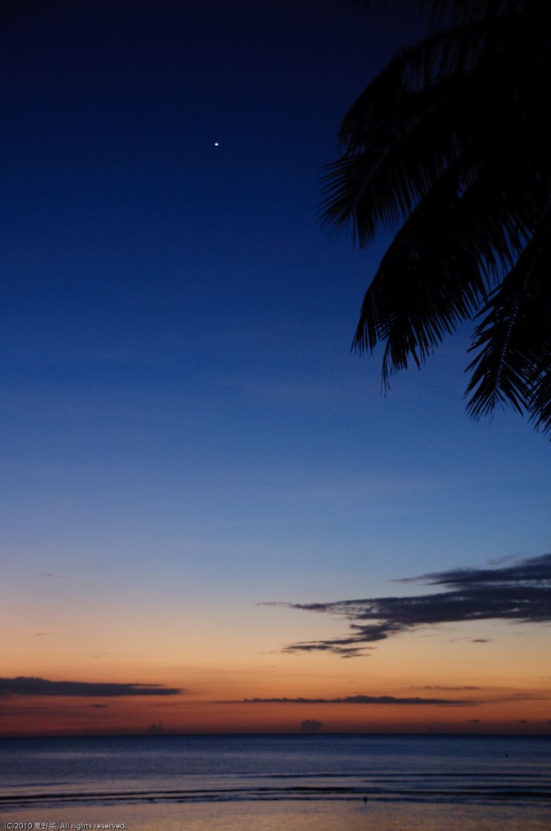 Twilight Venus | GANREF