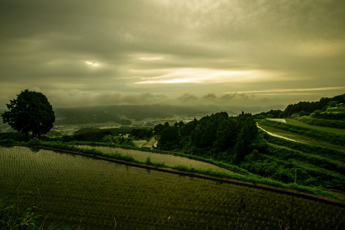 夜明けⅡ | GANREF