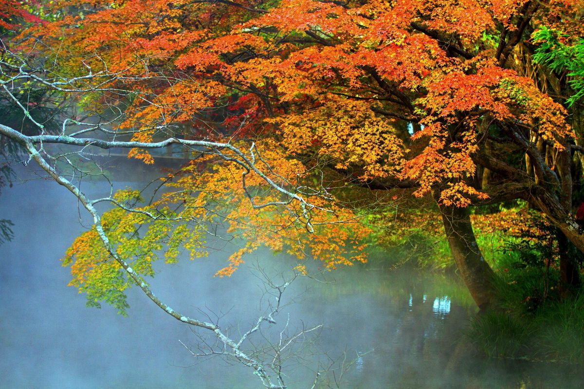 Autumn of the waterside | GANREF