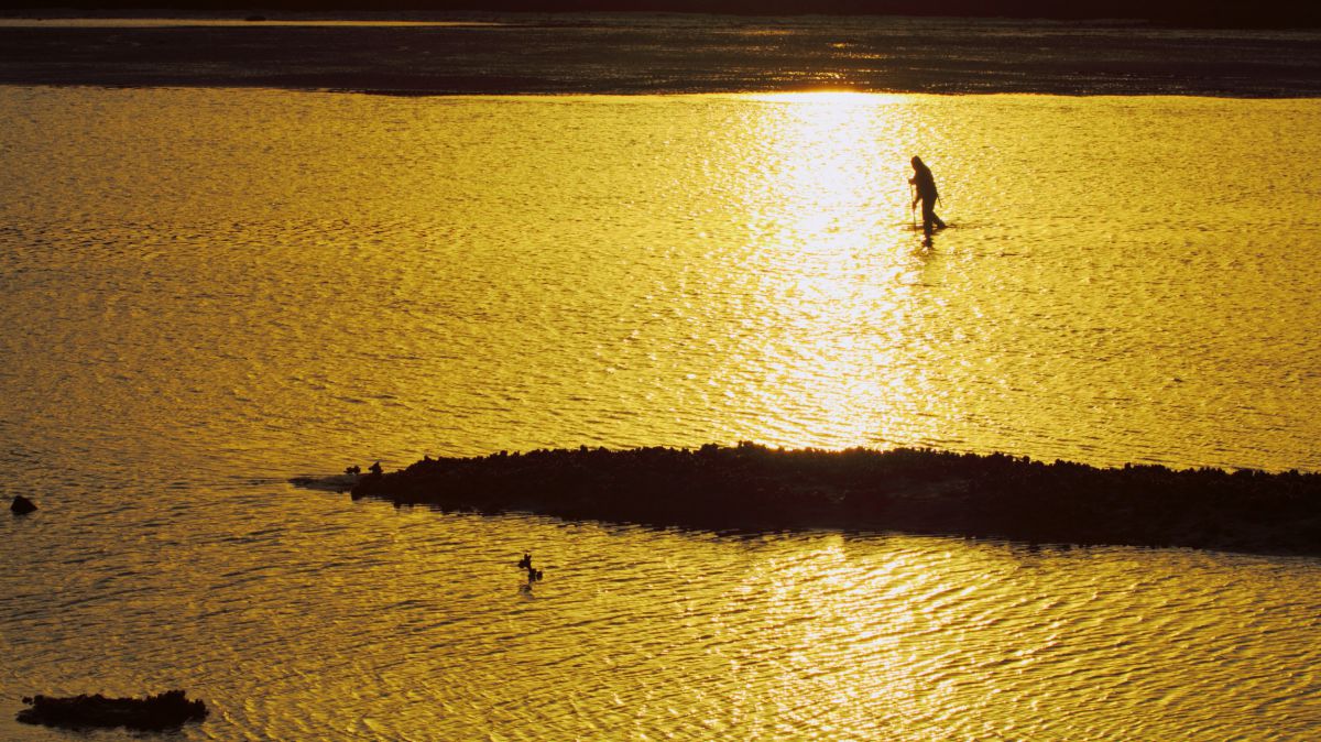 River of twilight | GANREF