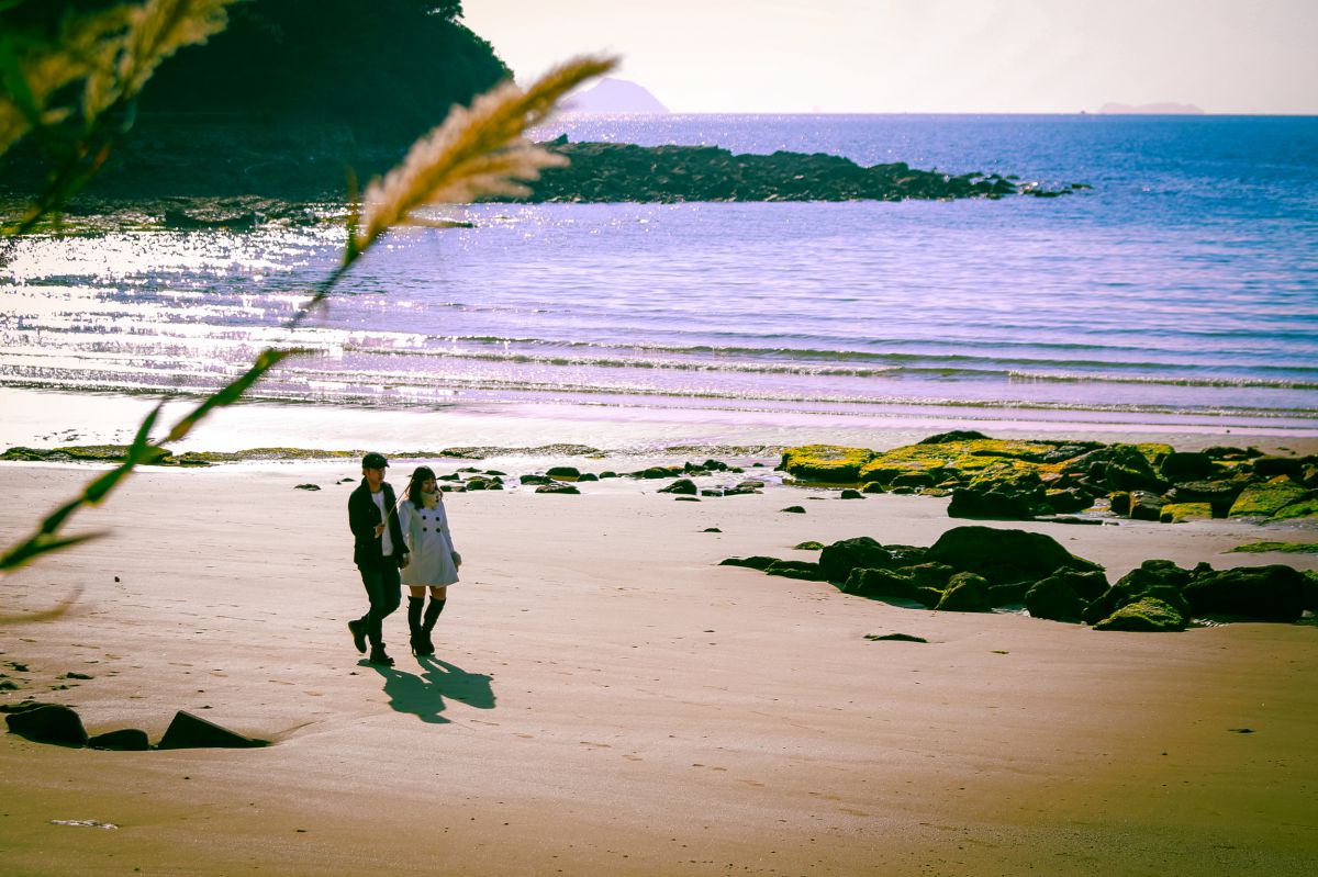 Beach of winter | GANREF