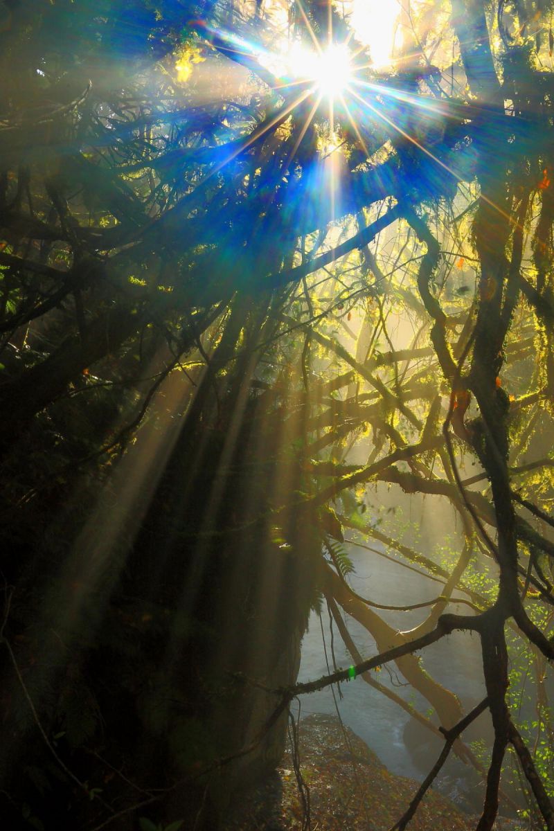 The morning sun of a ravine | GANREF