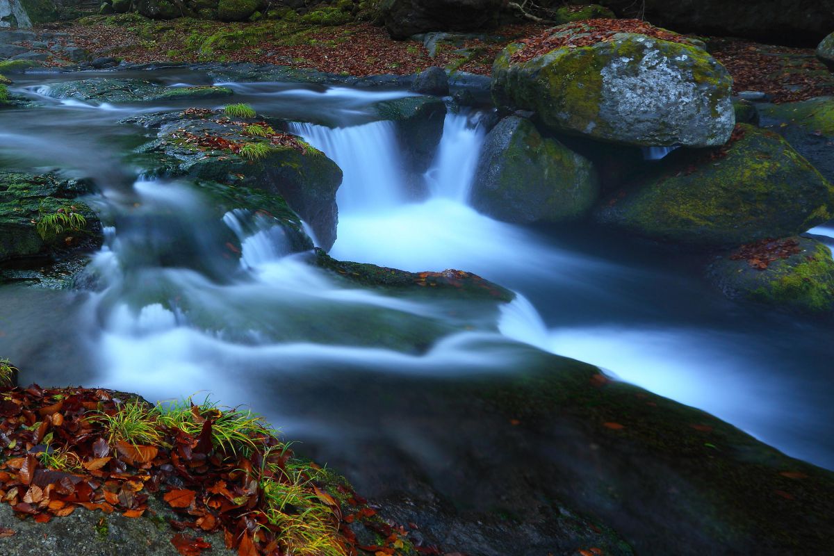 The flowing season | GANREF