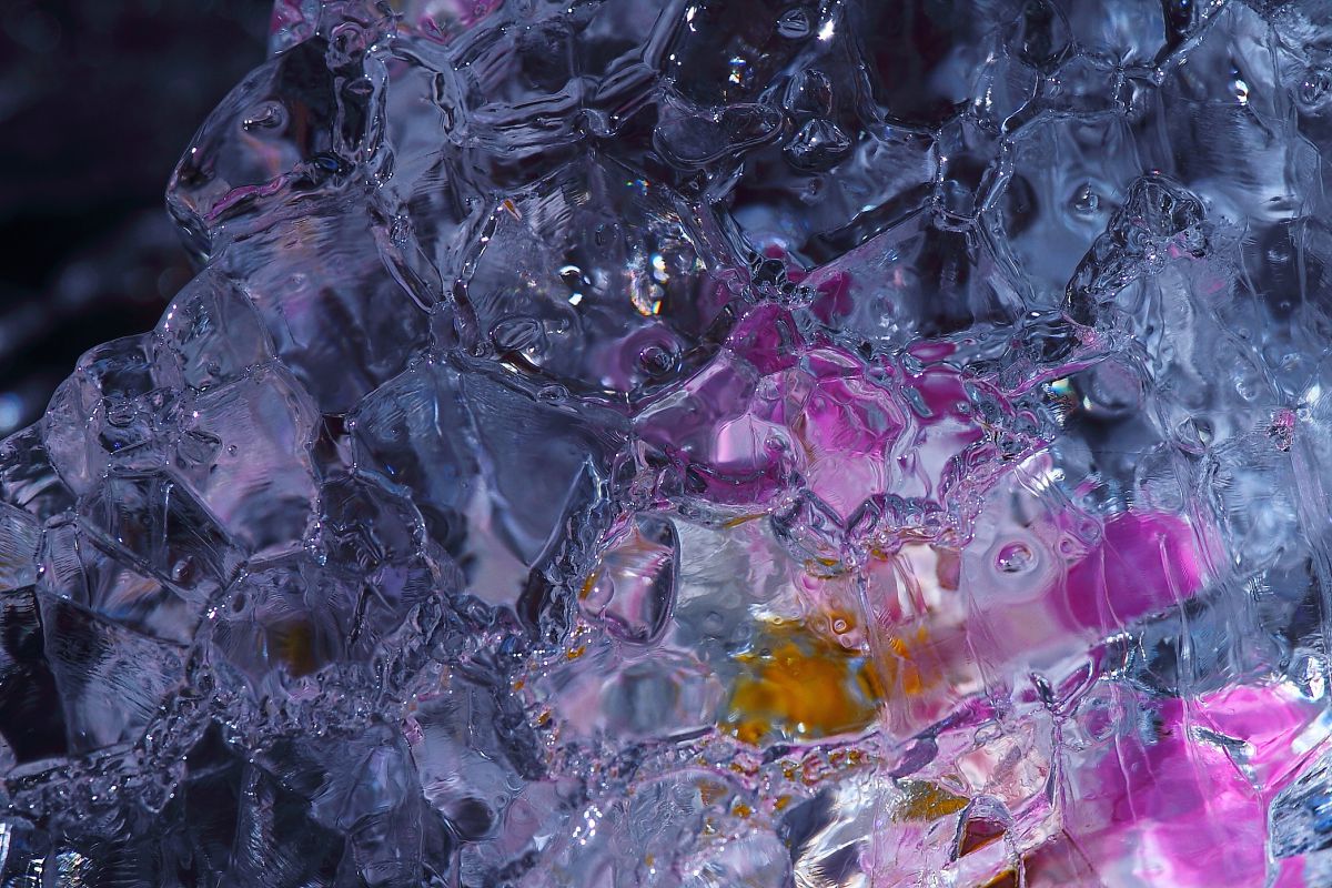 The flower of freezing | GANREF