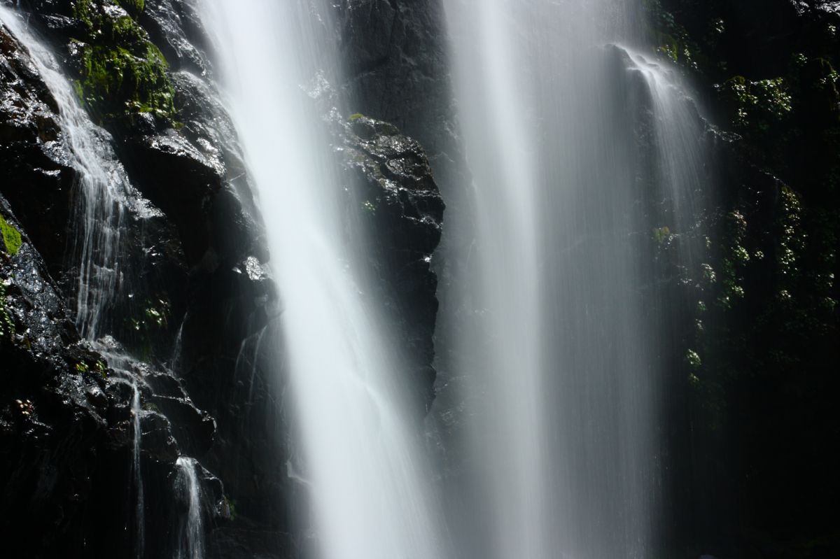 光水注ぐ | GANREF