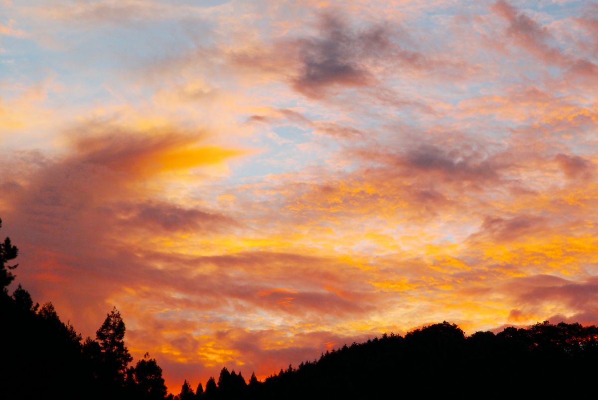 Evening glow with queer clouds | GANREF