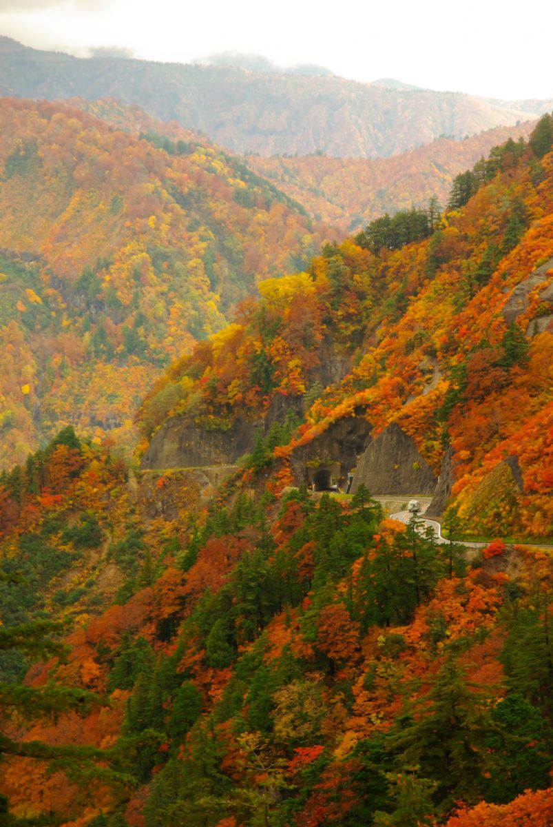 Autumn Drive | GANREF