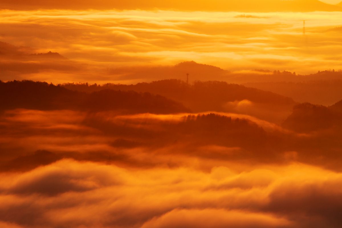 GOLDEN TIME | GANREF