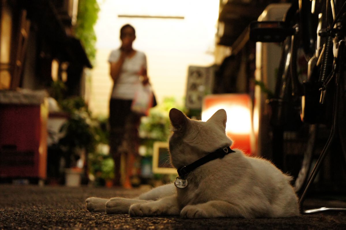 ENCOUNTER!! | GANREF