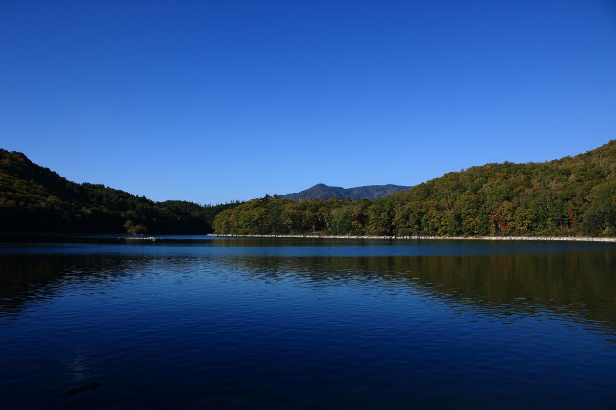 Blue Screen | GANREF