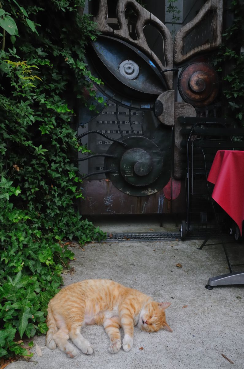 ねことNEKO HOUSE | GANREF