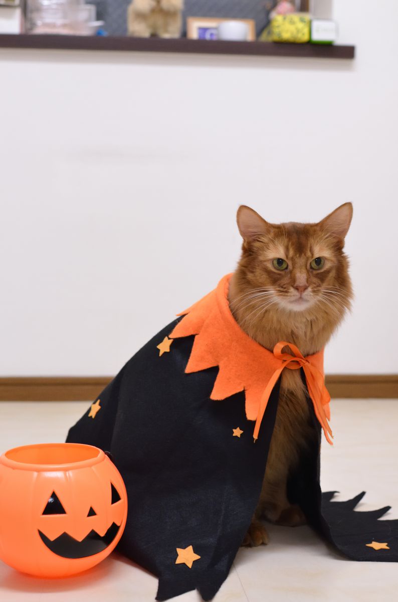 Season's Greetings | GANREF