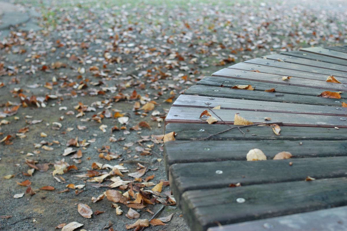 Goodbye, halcyon days. （組写真2/4） | GANREF