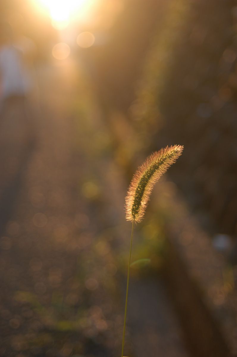 Goodbye, halcyon days. （組写真1/4） | GANREF