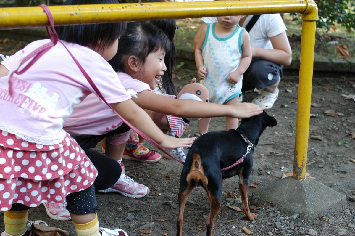 Goodbye, halcyon days. （組写真3/4） | GANREF