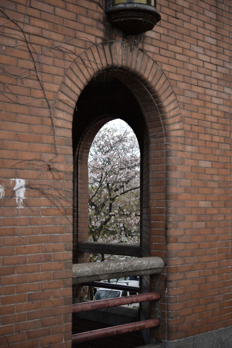 SAKURA from Window | GANREF