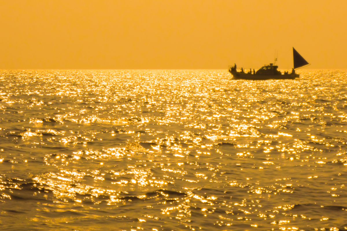 The Gold Experience | GANREF