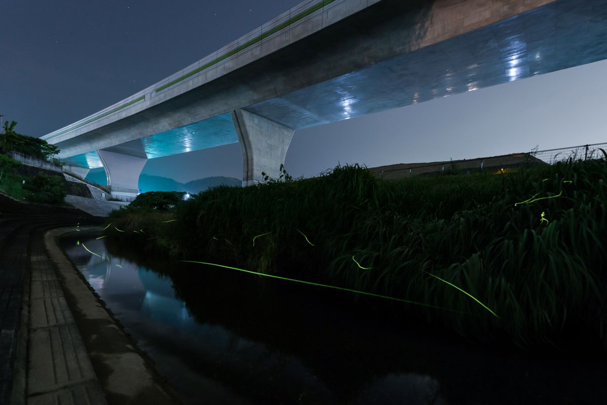 highway & firefly 2015 | GANREF