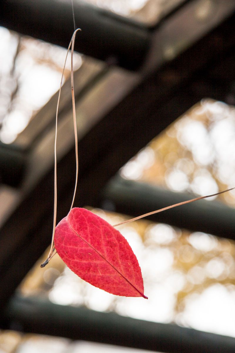 balance on balance | GANREF