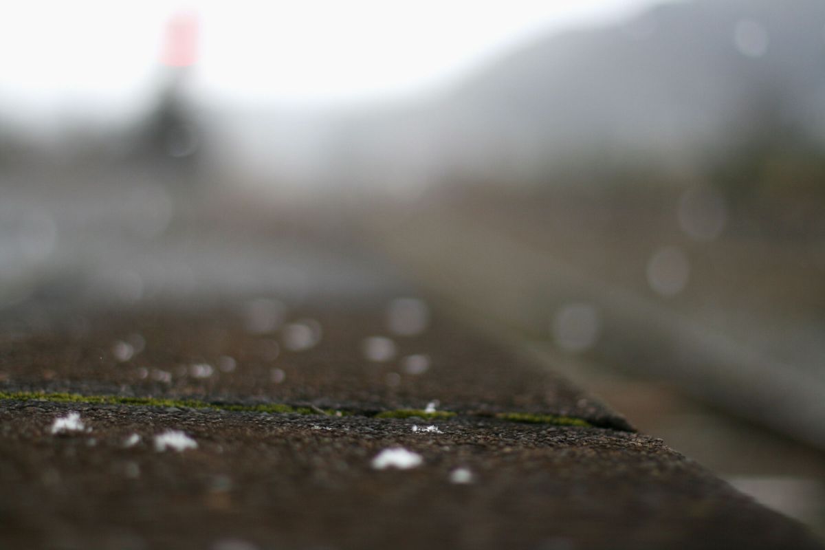 儚い想い | GANREF