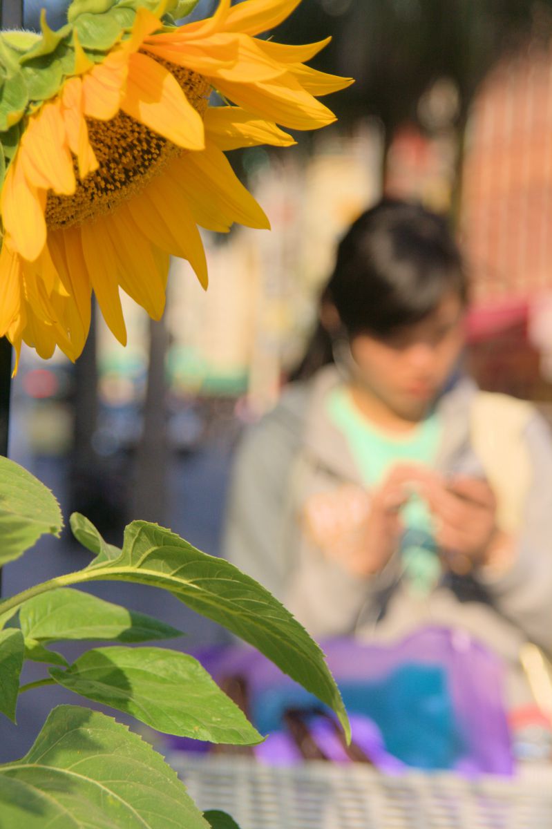 どうしたの？ | GANREF