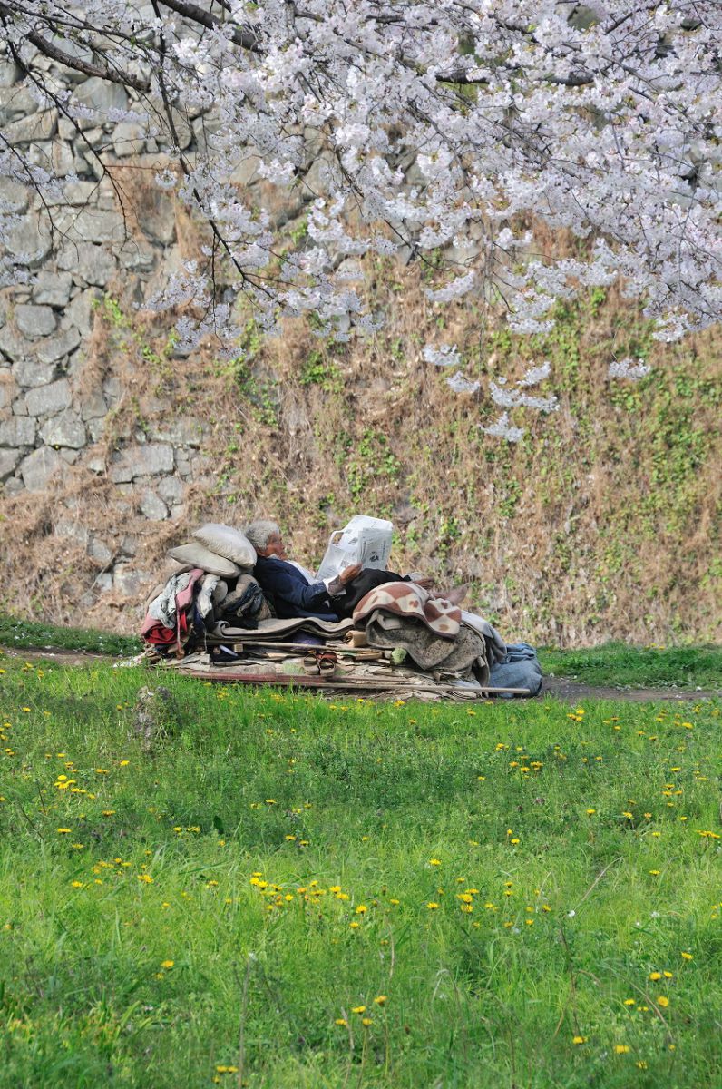 090405meijyousakura5 | GANREF