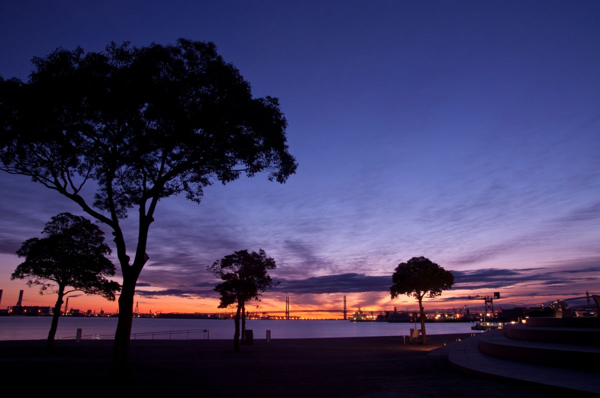 Morning glow | GANREF