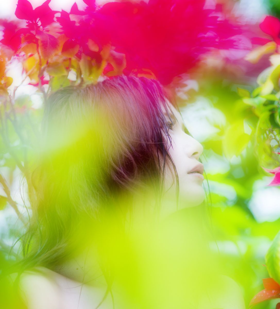 Fading like a flower | GANREF