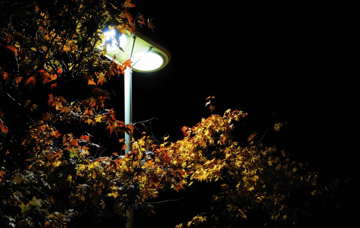 count down to winter | GANREF