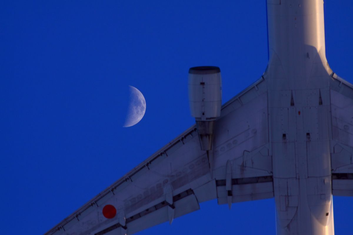 One world alliance member JAL | GANREF