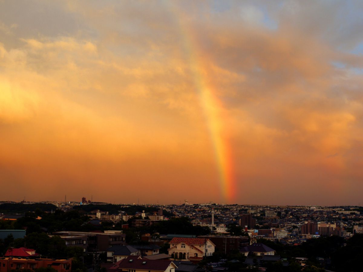 over the rainbow | GANREF