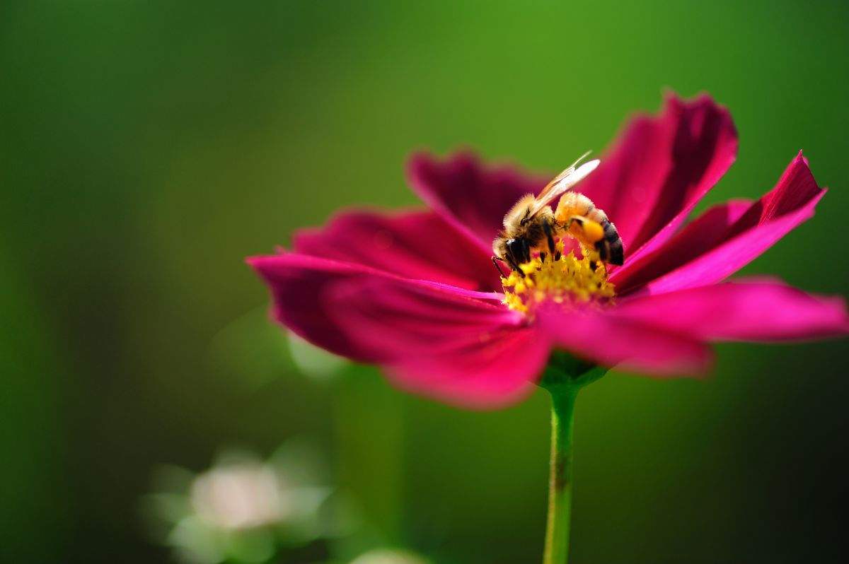 Dinner time | GANREF